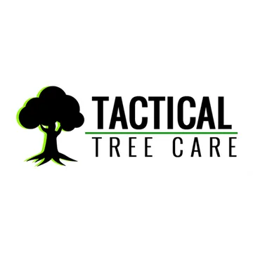 Expert Tree Services in Mahoning County | Tactical Tree Care
